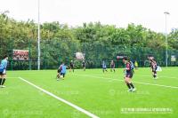 China High Elasticity Artificial Grass Infill Granules for Soccer Pitch Football Field and Sports Turf Areas for sale