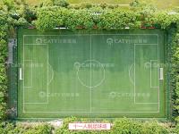 China High Elasticity Artificial Grass Infill Granules for Soccer Pitch Football Field and Sports Turf Areas for sale