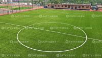 China Heat Resistant Artificial Grass Infill Granules for Football Pitch Soccer Field Lawn Systems Sports Complex for sale