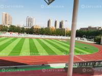 China Dust Reduced Artificial Grass Infill Granules EPDM for Football Pitch Soccer Field Soccer Pitch Football Field Synthetic Lawn for sale