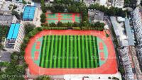 China Dust Reduced Artificial Grass Infill Granules EPDM for Football Pitch Soccer Field Soccer Pitch Football Field Synthetic Lawn for sale