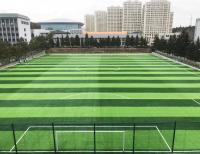 China Dust Reduced Artificial Grass Infill Granules EPDM for Football Pitch Soccer Field Soccer Pitch Football Field Synthetic Lawn for sale