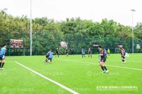 China Double Screened Artificial Turf Infill Granules for Football Pitch Soccer Field and Astro Turf Systems for sale