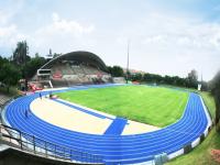 China Professional Grade EPDM Rubber Granules for Synthetic Turf Infill Olympic Running Tracks and Competition Facilities for sale