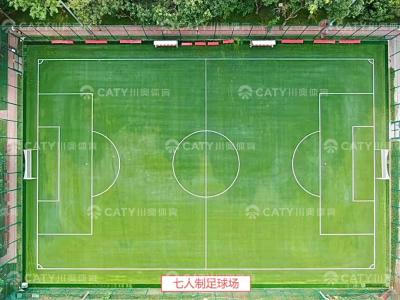 China Low Dust EPDM Rubber Granules for Running Track Construction and Playground Surfacing Systems Sports Comlex Sports Ground for sale