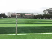 China High Elasticity EPDM Rubber Granules for Running Tracks Multi Sport Courts and Fitness Areas Soccer Field Sports Complex for sale
