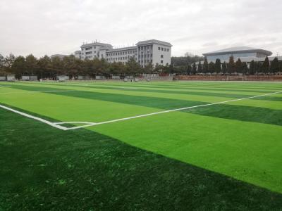 China High Elasticity EPDM Rubber Granules for Running Tracks Multi Sport Courts and Fitness Areas Soccer Field Sports Complex for sale