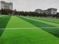China Professional EPDM Rubber Granules for Athletics Tracks School Sports Grounds and Training Facilities Sports Complex for sale