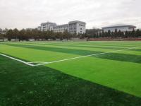 China Professional EPDM Rubber Granules for Athletics Tracks School Sports Grounds and Training Facilities Sports Complex for sale