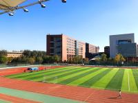 China UV Resistant EPDM Rubber Granules for Playgrounds Football Pitch Sports Complex Stadium for sale