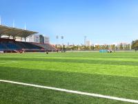 China UV Resistant EPDM Rubber Granules for Playgrounds Football Pitch Sports Complex Stadium for sale