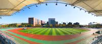 China UV Resistant EPDM Rubber Granules for Playgrounds Football Pitch Sports Complex Stadium for sale
