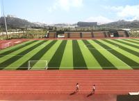 China UV Resistant EPDM Rubber Granules for Running Track Systems Sports Courts for sale