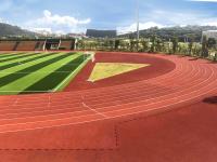 China UV Resistant EPDM Rubber Granules for Running Track Systems Sports Courts for sale