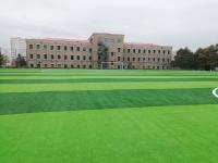 China UV Stable Synthetic Turf Infill Granules EPDM for Football Courts Pitch Soccer Facilities Multi Use Sports Areas Sports Complex for sale