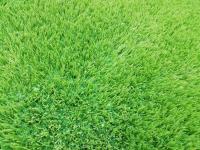 China UV Stable Synthetic Turf Infill Granules EPDM for Football Courts Pitch Soccer Facilities Multi Use Sports Areas Sports Complex for sale