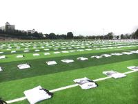 China Eco Friendly Artificial Grass Infill Granules for Football Fields School Sports Grounds and Playgrounds Sports Complex for sale