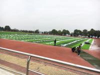 China Eco Friendly Artificial Grass Infill Granules for Football Fields School Sports Grounds and Playgrounds Sports Complex for sale