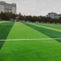 China High Density Artificial Grass Infill Granules for Sports Grounds Football Courts & Leisure Facilities Mini Football Pitch for sale