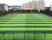 China Premium Artificial Grass Infill Granules For Football Fields Soccer Turf Soccor Field Track and Field for sale