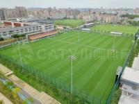China Free Sample Anti- UV EPDM Rubber Granules for Football Field Artificial Grass Turf Infill for sale