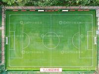 China Free Sample Anti- UV EPDM Rubber Granules for Football Field Artificial Grass Turf Infill for sale