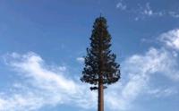 China Bionic Communications Towers Environmentally Friendly Fake Tree Tower for sale