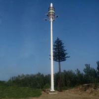 China Wind Resistant Monopole Telecommunications Tower Expandable Steel Structure Tower for sale