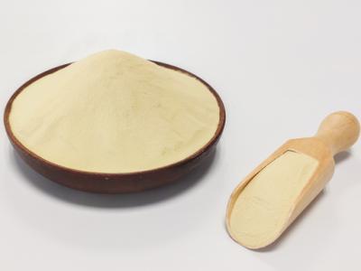 China Nutrient Saccharomyces Cerevisiae Brewer'S Yeast Powder Extract Ingredients For Daily Wellness for sale