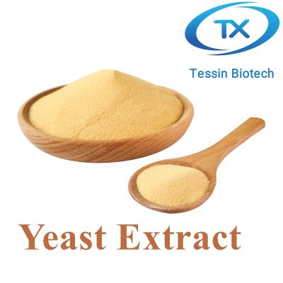 China Premium Autolyzed Yeast Extract Vegan Powder PA01 Saccharomyces Cerevisiae Derived for sale