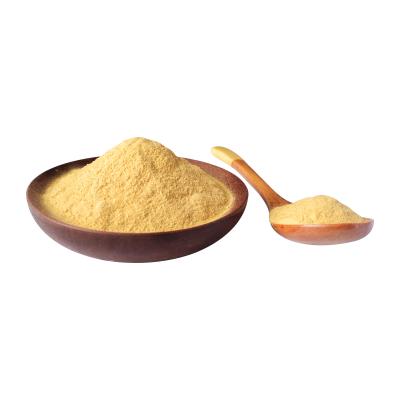 China Water Soluble Saccharomyces Cerevisiae Hydrolyzed Yeast Extract Powder For Biotechnology for sale