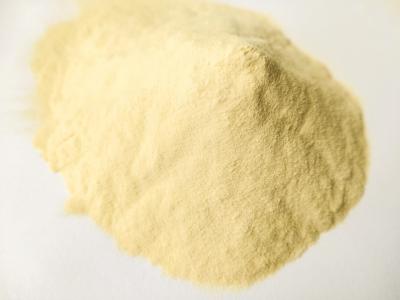 China Organic Amino Acid Yeast Extract Powder For Functional Nutrition 20kg for sale