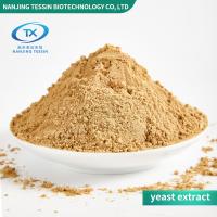 China Savory Flavor Concentrated Yeast Extract Ingredient Powder Vegan For Soup Sauce Snack for sale