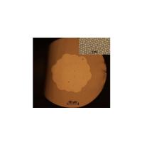 China 190～1250nm (UV) 300～2400nm (IR) Imaging fibre fiber Multi-core: 3000～100000 Numerical aperture (NA):>0.5 for sale