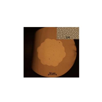 China 190～1250nm (UV) 300～2400nm (IR) Imaging fibre fiber Multi-core: 3000～100000 Numerical aperture (NA):>0.5 for sale