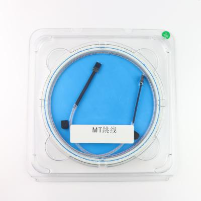 China SM PM Fiber 2/8/16/32 CH Multi-channel Optical Fiber Array MT-FA for sale