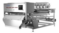 China Garlic Sorting Machine Shape Selection Combine Multi Use Feeding System for sale