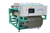 China Single Layer Belt Garlic Color Sorter With Intelligent LED Control System for sale