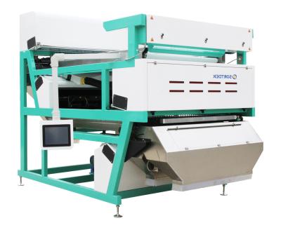 China Super Speed Garlic Color Sorter Equipment With High Frequency Solenoid Valve for sale