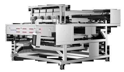 China 99% Nuts Color Sorter for sale