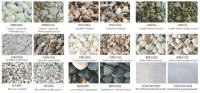 China Dust Resistant Stone Quartz Sands Optical Color Sorter for sale