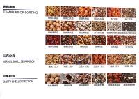 China Belt Groundnut Peanut Separate Optical Color Sorter for sale