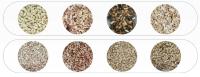 China Belt Groundnut Peanut Separate Optical Color Sorter for sale