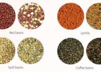 China Single Chute 63 Ejectors CCD Color Sorter Multi Purpose for sale