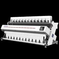 China 12 Chutes 768 Channels Rice Sorting Machine Vertical 25T/H Rapid 12 for sale