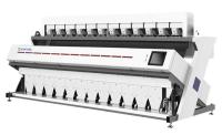 China 12 Chutes 768 Channels Rice Sorting Machine Vertical 25T/H Rapid 12 for sale