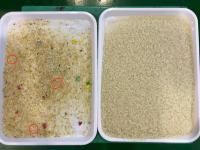 China 3 Chutes Rice Color Sorting Machine Intelligent Recognition for sale