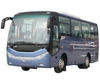 China 10-19 Seat LHD/RHD Drive Wheel Diesel Passenger Bus with Customer's Requirement for sale