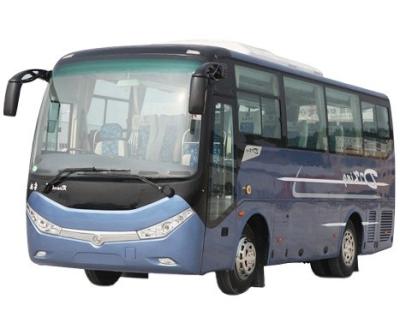 China 10-19 Seat LHD/RHD Drive Wheel Diesel Passenger Bus with Customer's Requirement for sale