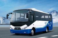 China Fuel Type Diesel and CNG 28 Seats Low Floor Business Coach Bus for LHD RHD Drive Wheel for sale